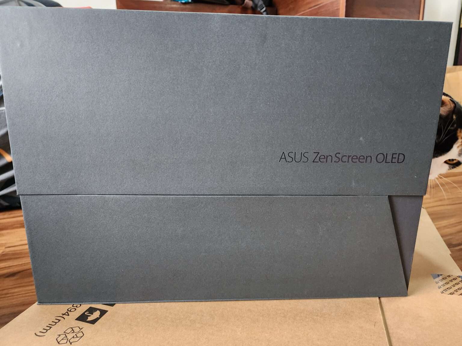 ASUS OLED Portable Monitor MQ16AH Review - Einfoldtech